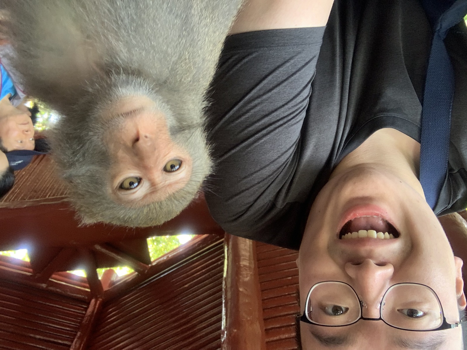 Students submit photos of their encounters with monkeys
